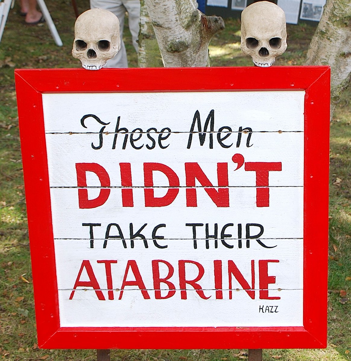 Malaria in the Ranks | Medicine, Health, and History